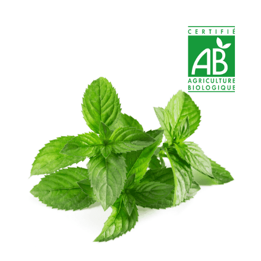 Menthe Douce Coup e Bio Boutique Rabelais Menthe Douce Coup e Bio Boutique Rabelais